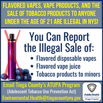 Tioga County, New York Government - Contacts